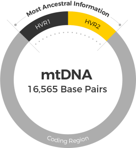Did you know DNA analyses finally identified the true identity of Anna ...