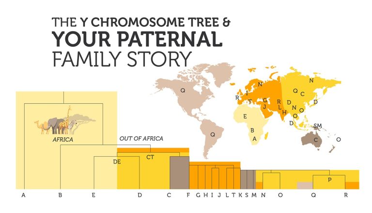 Did you know “Y-chromosomal Adam” is the ancient father of all people ...